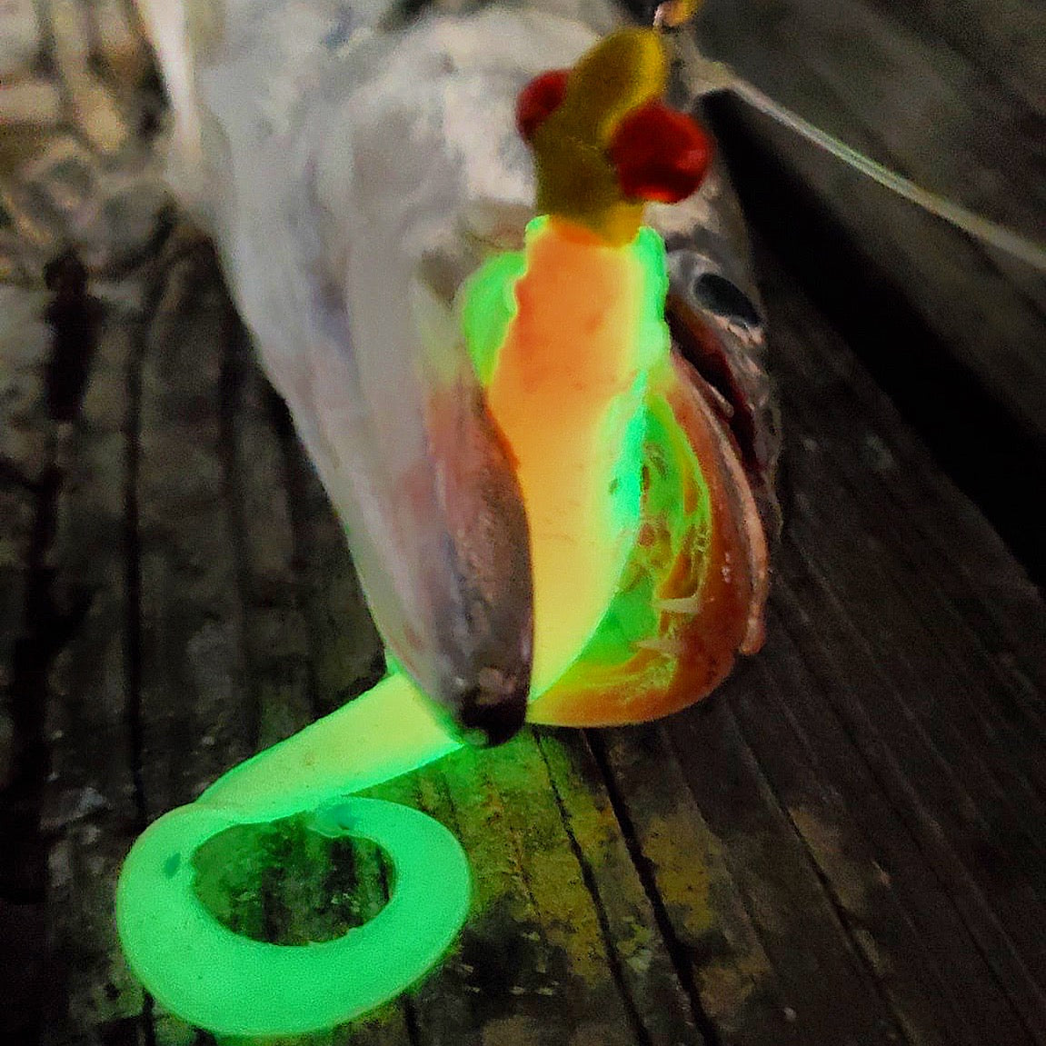 Atomic Fire Belly – A.M. Fishing